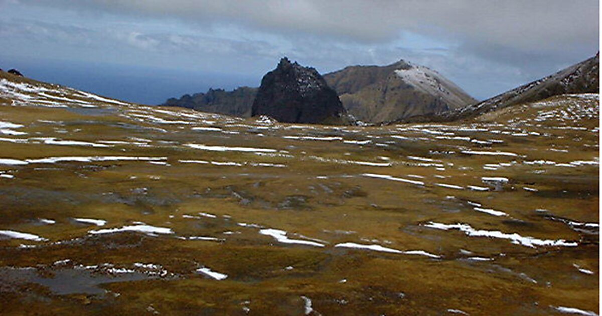 Gough Island in Tristan da Cunha | Tripomatic