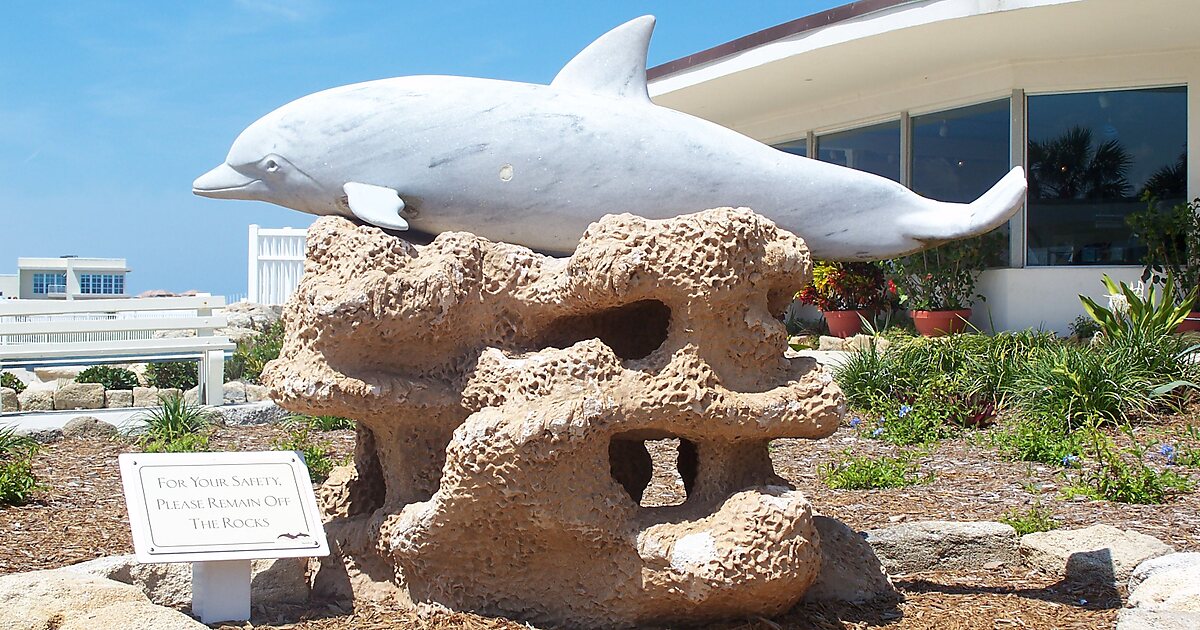 Marineland Dolphin Adventure in Marineland, United States | Tripomatic