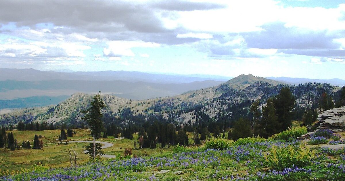 Boise National Forest in Boise County, Idaho | Tripomatic