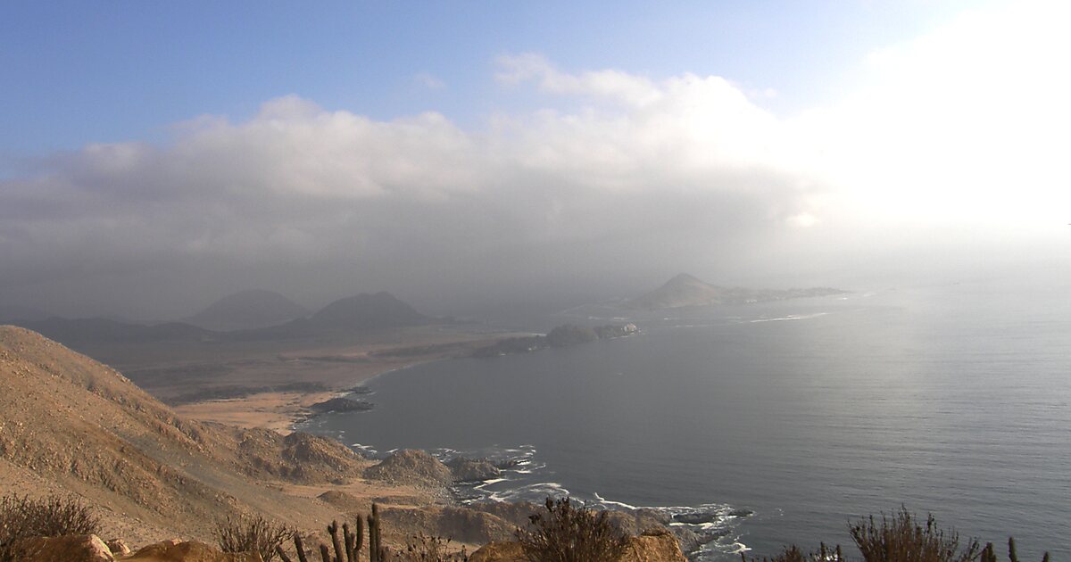 Nationalpark Pan de Azúcar in Chañaral, Chile | Tripomatic