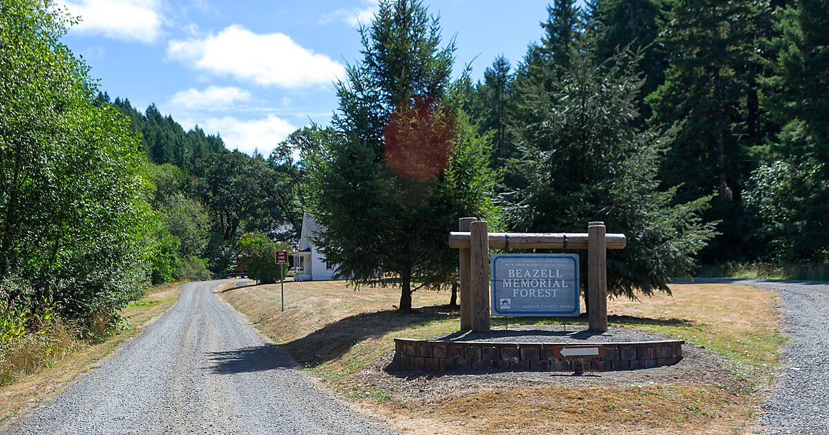 Beazell Memorial Forest in Oregon | Tripomatic