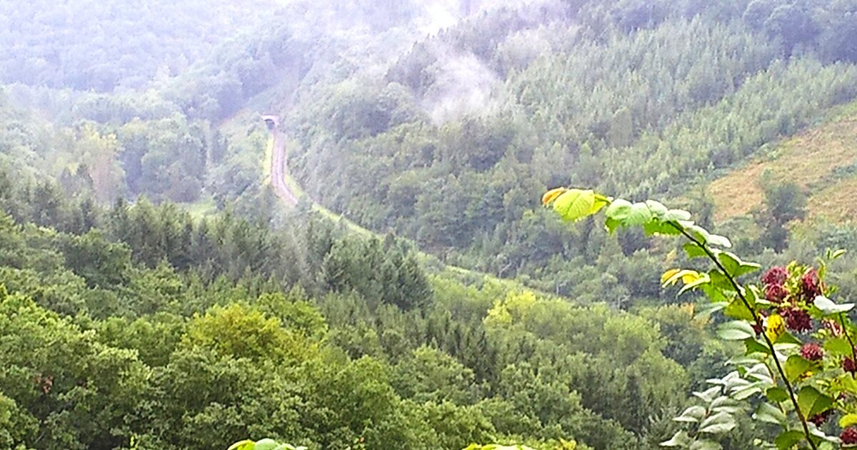 Stoumont in Belgium | Tripomatic