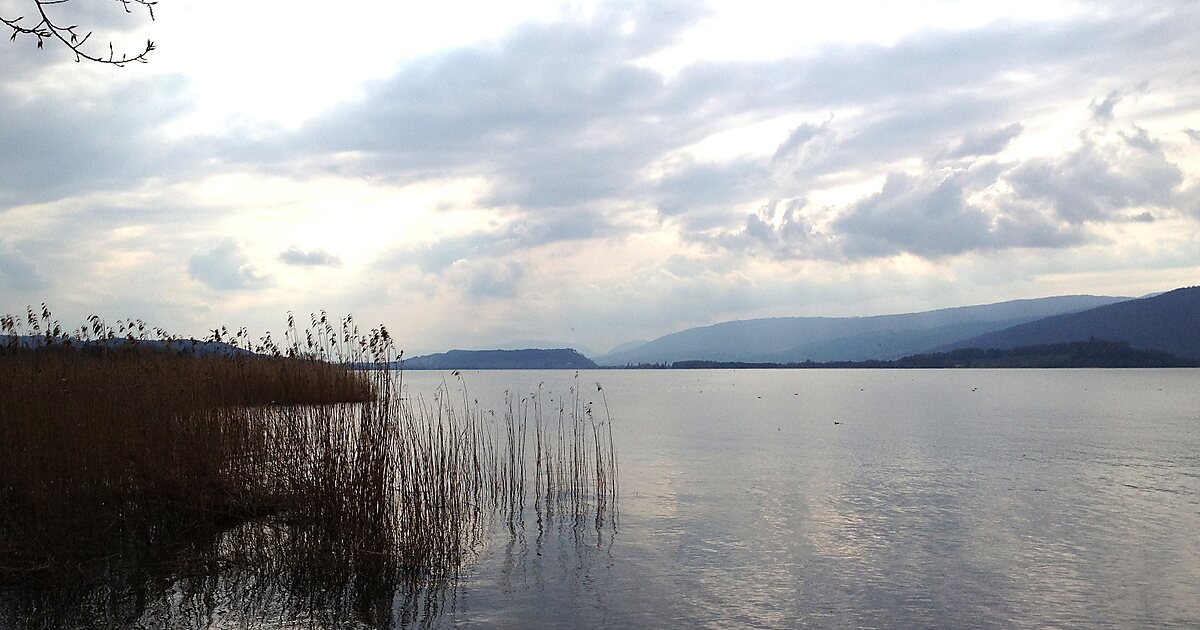 Lake Bienne in Switzerland | Tripomatic