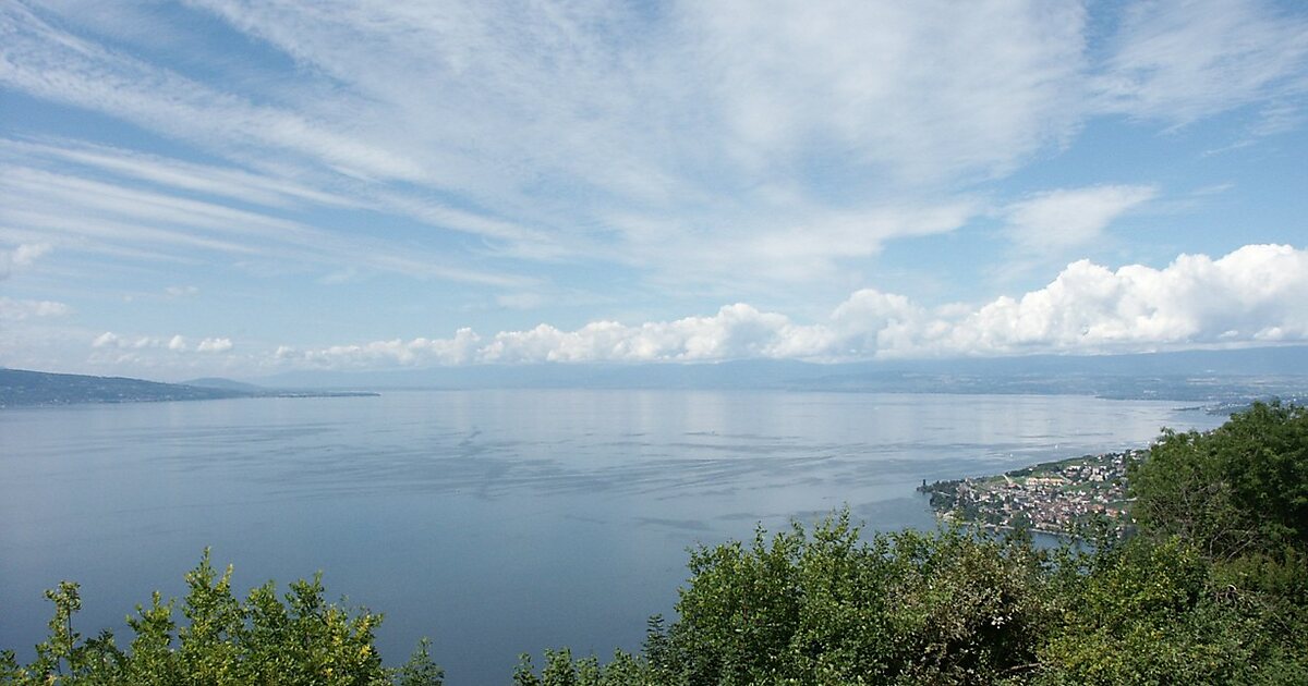 Puidoux in Kanton Waadt, Schweiz/Suisse/Svizzera/Svizra | Tripomatic