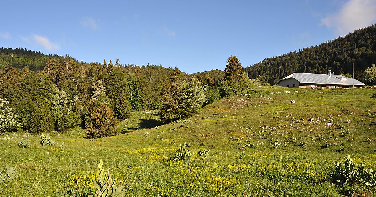 La Rippe in Vaud, Switzerland | Tripomatic