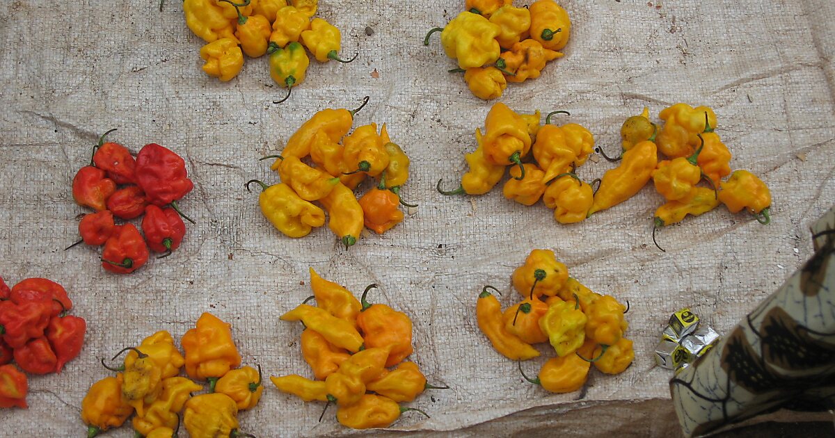 Bafang in Cameroon | Sygic Travel