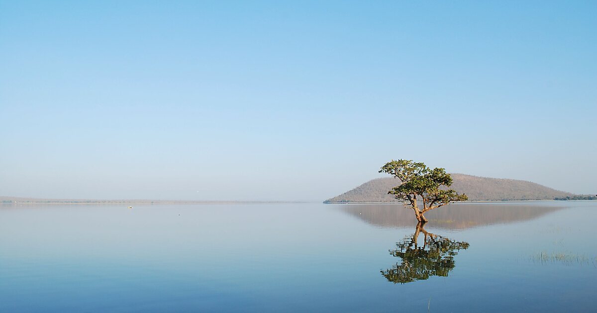 Pakhal Lake in Telangana | Tripomatic