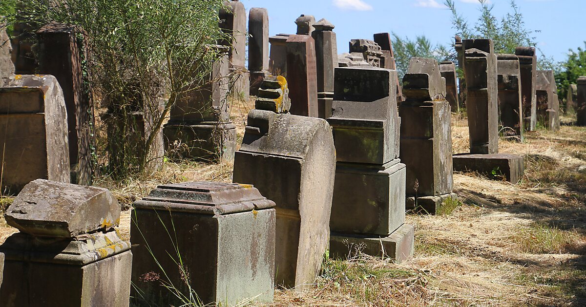 Herschberg in | Tripomatic