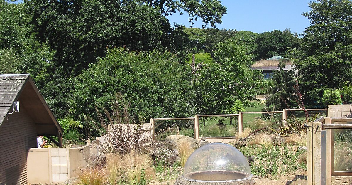 Durrell Wildlife Park in Jersey | Sygic Travel