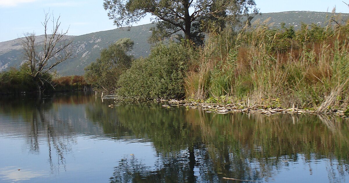 Hutovo Blato in Bosnien und Herzegowina | Tripomatic