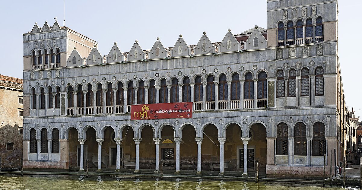 Natural History Museum in Santa Croce, Venice, Italy | Tripomatic