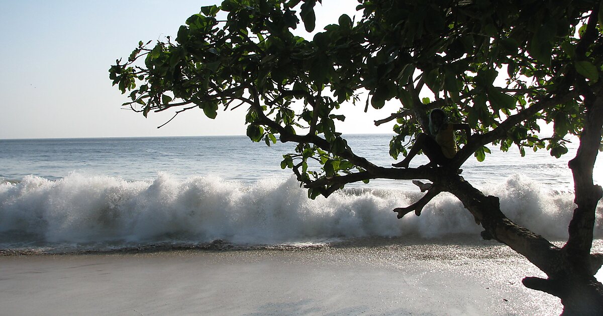 Isla de Saboga en Saboga, Panamá | Tripomatic