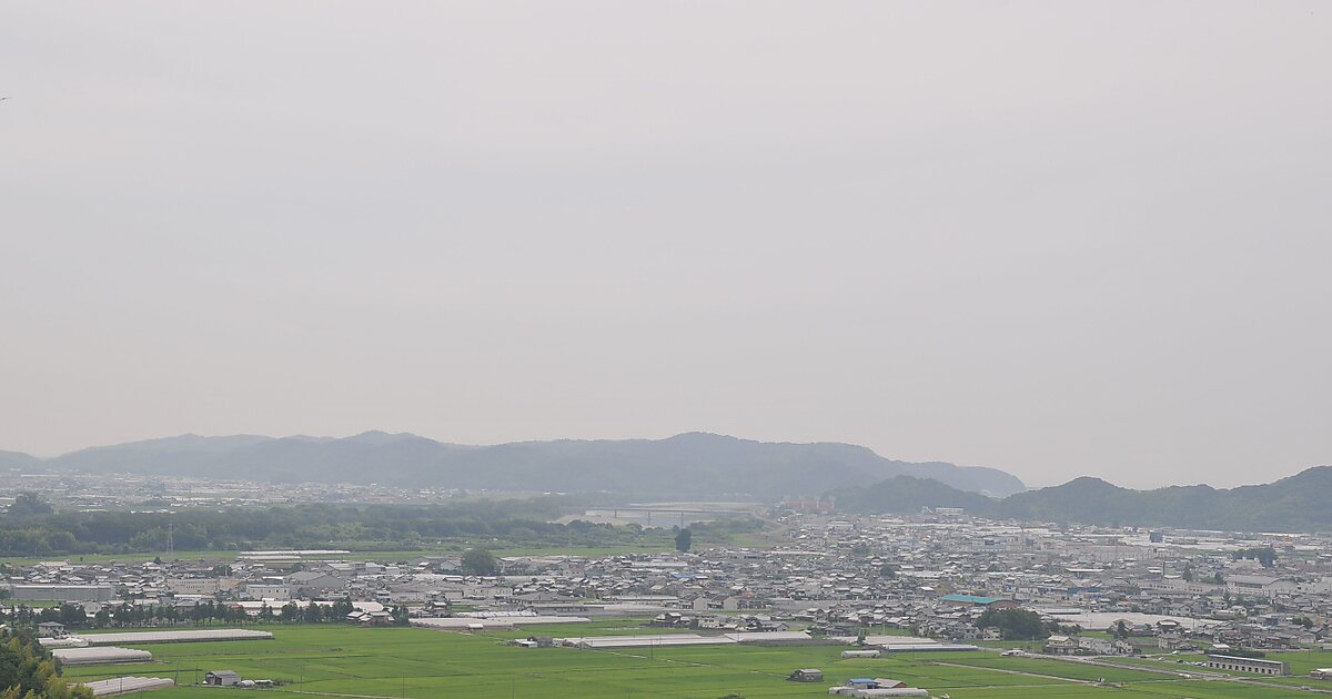 Tosa in Japan | Tripomatic