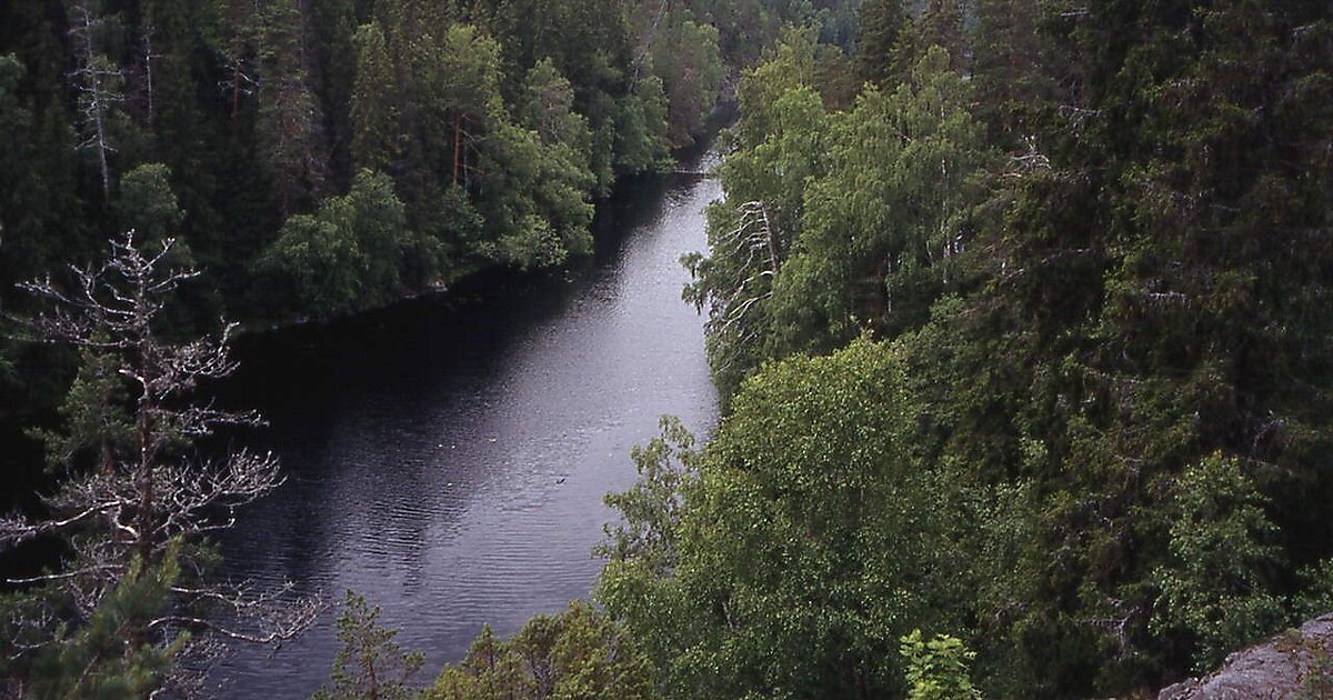Helvetinjärvi National Park in Ruovesi, Finland | Tripomatic