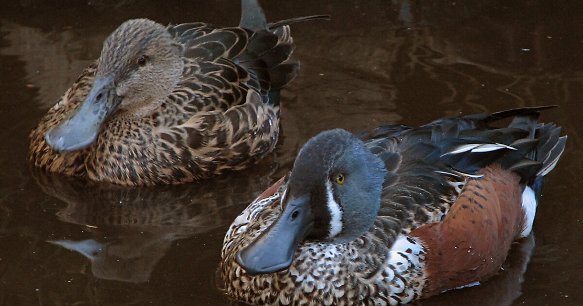 Lake Bathurst in New South Wales, Australia | Tripomatic