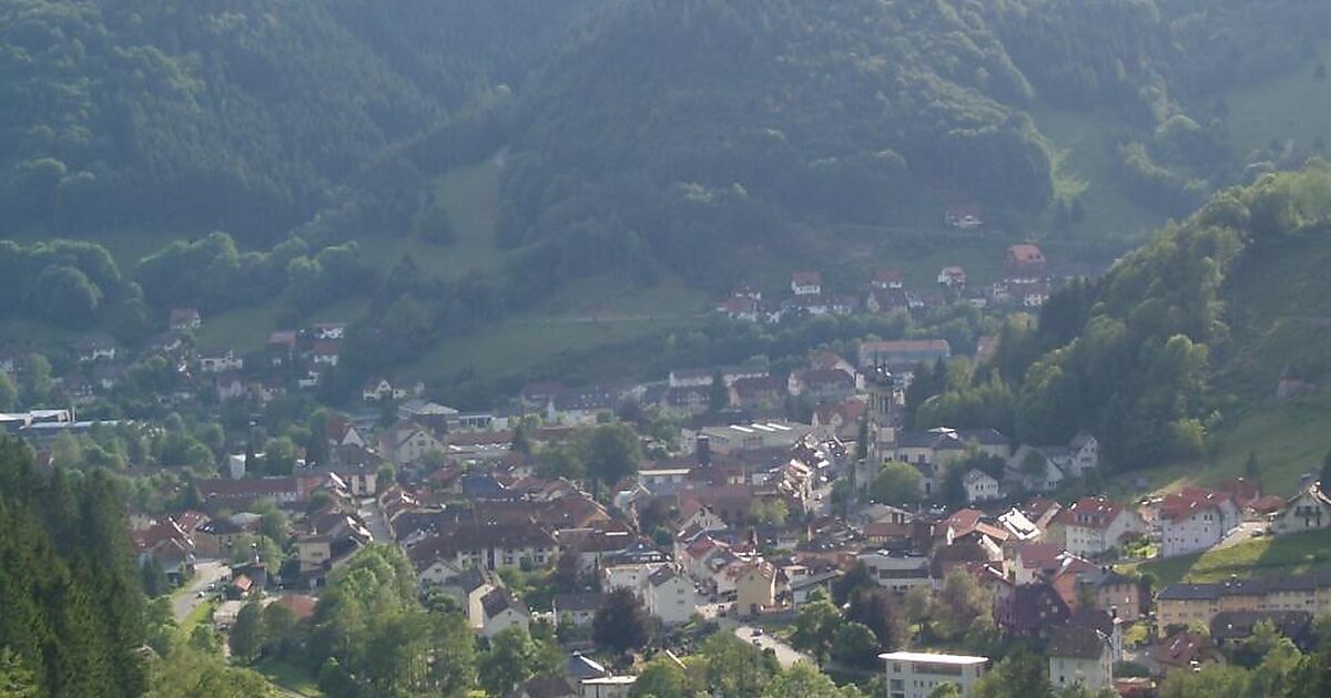 Todtnauberg in Black Forest, Deutschland | Tripomatic