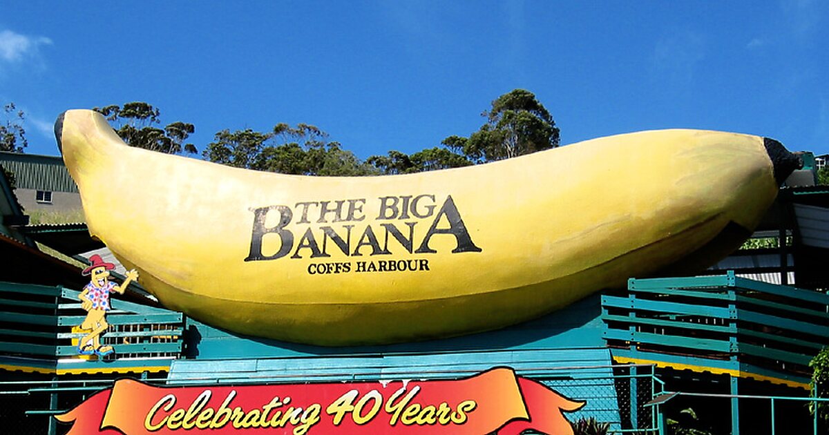 Самый Большой Банан В Мире Фото – Telegraph