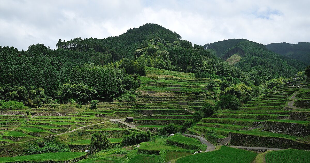 Ukiha in Japan | Tripomatic