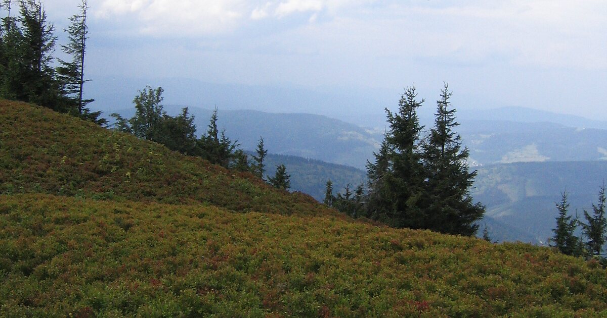 Kysuce Protected Landscape Area in Oščadnica | Tripomatic