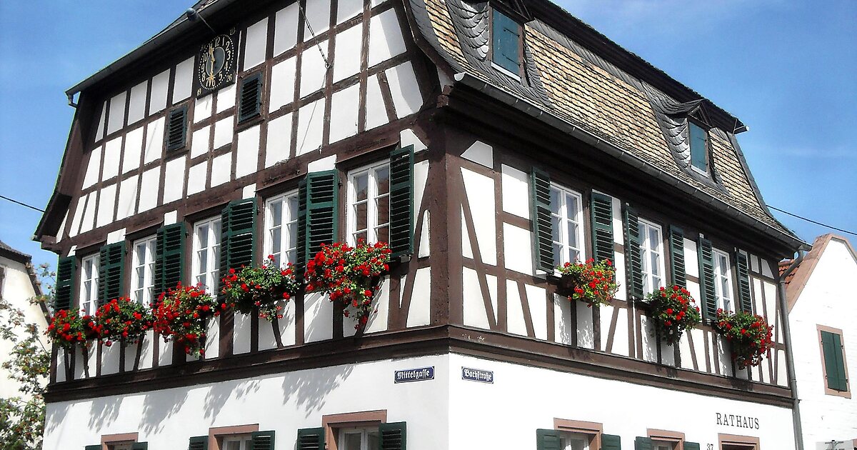 Alsheim w | Tripomatic
