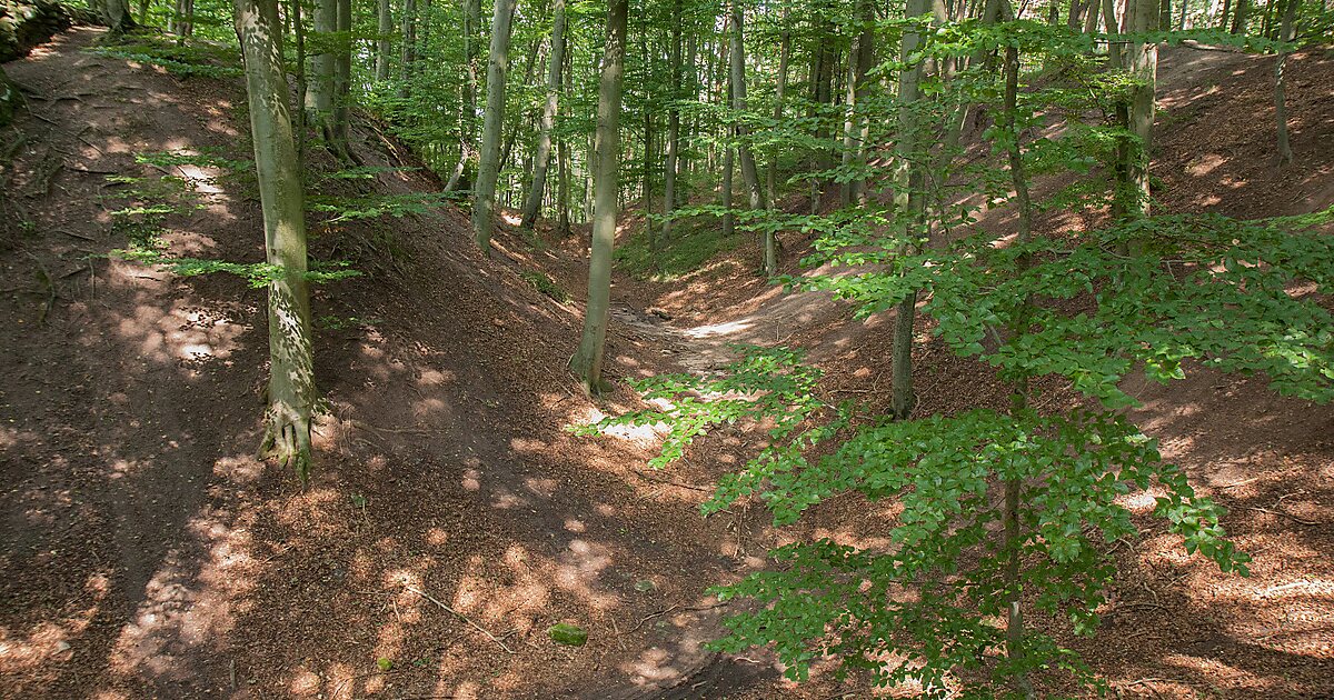 Schauerburg in Altschauerberg, Deutschland | Tripomatic