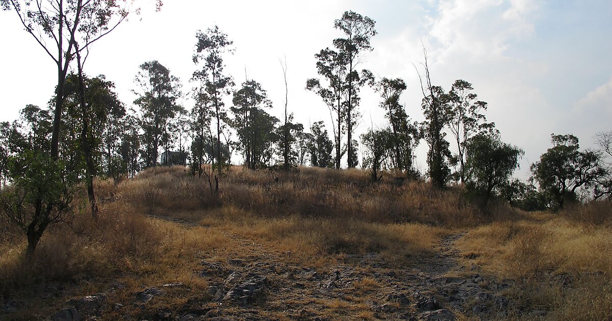 Parque nacional El Tepeyac en Gustavo A. Madero, Ciudad de México ...
