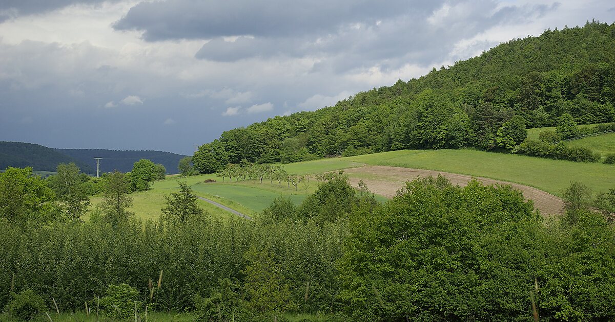 Steigerwald Nature Park in Bavaria, Germany | Tripomatic