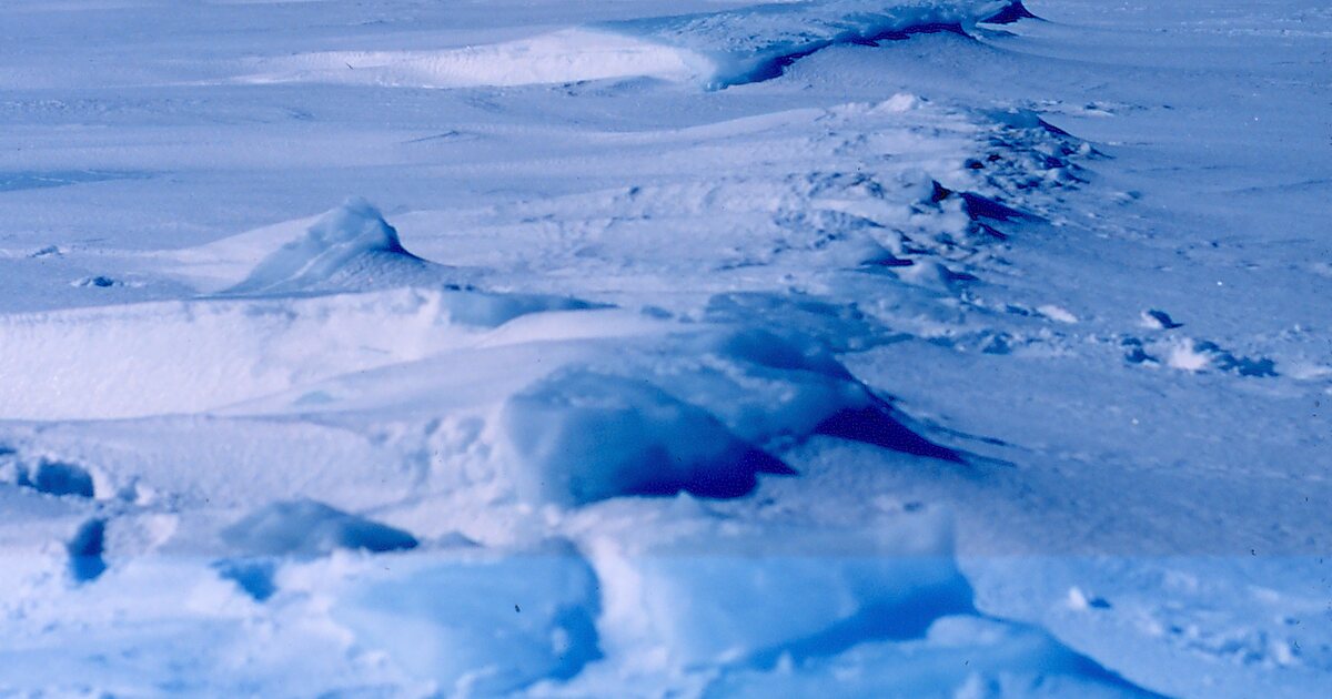 Isla de Ross en Antártida | Tripomatic