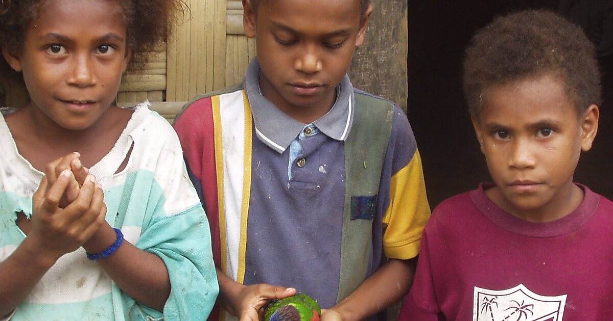 Ambae Island in Vanuatu | Tripomatic