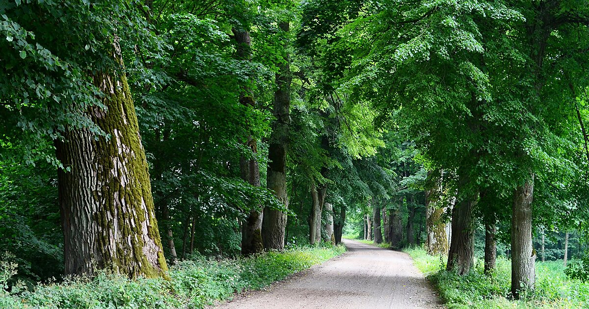 Rambynas Regional Park in | Tripomatic