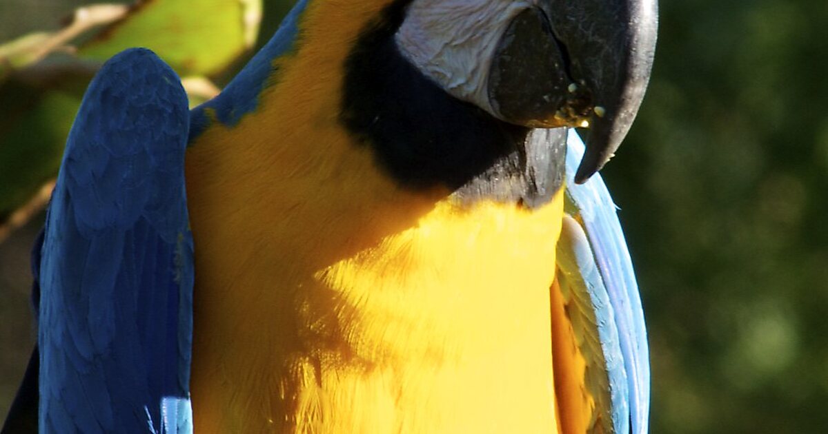 Bioparque Temaikèn in Belén de Escobar, Argentina | Tripomatic