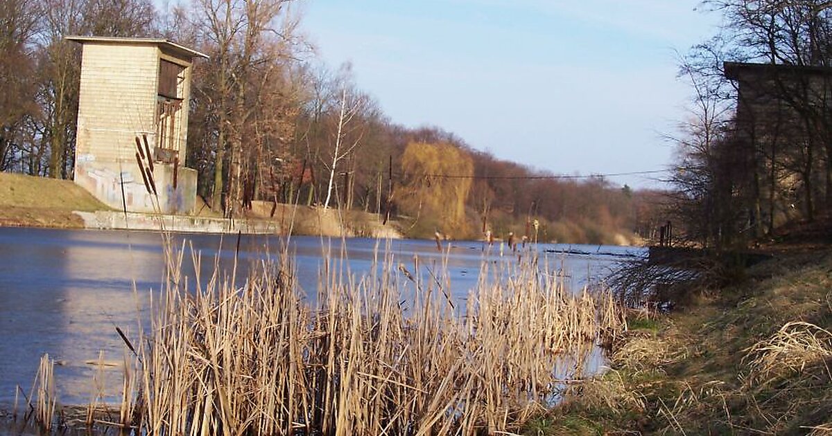 Leipzig Riverside Forest in Germany | Tripomatic
