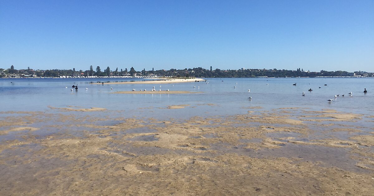 Point Walter in Western Australia | Tripomatic
