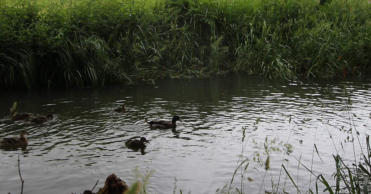 Bury Mount in Towcester, UK | Tripomatic