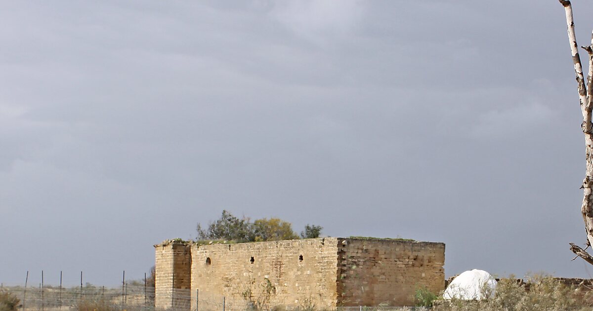 Palmahim in | Tripomatic