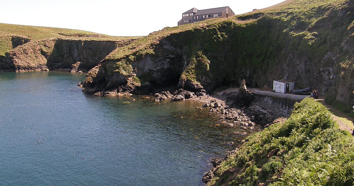 Skomer Island in Wales, UK | Tripomatic