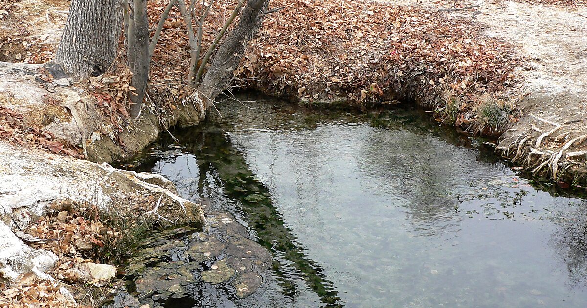 Ash Springs en Lincoln County, Nevada, Estados Unidos de América ...