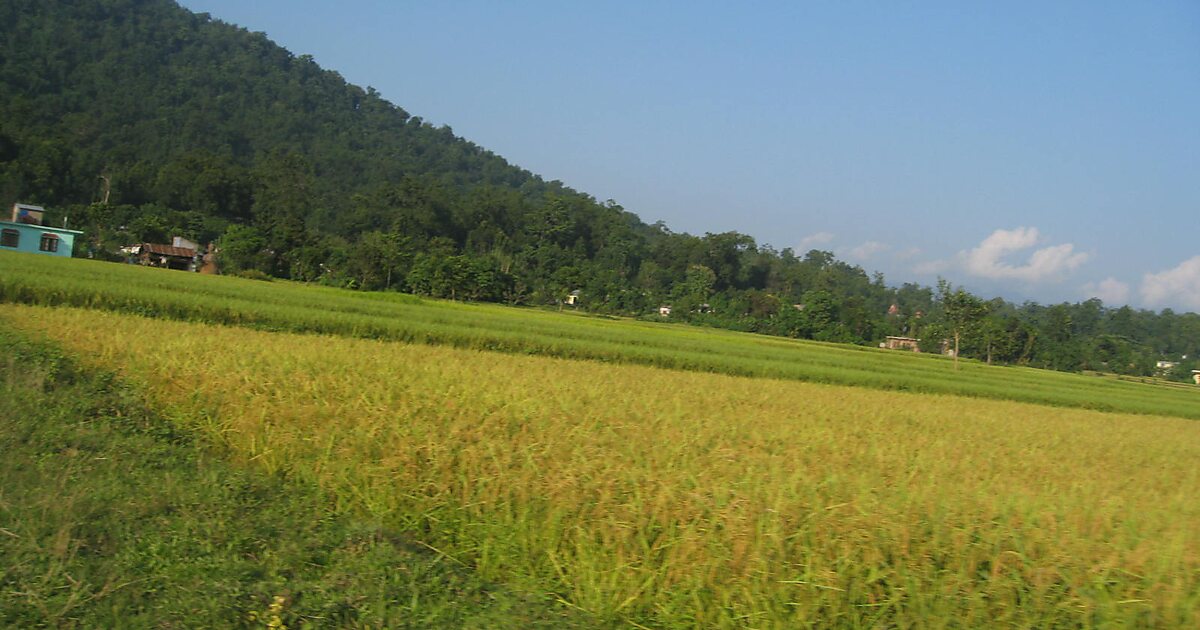 Gaidakot in Nepal | Tripomatic
