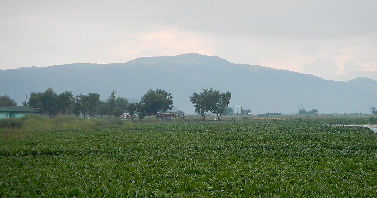 Mount Sembrano in Philippine Continental Shelf, Philippines | Tripomatic