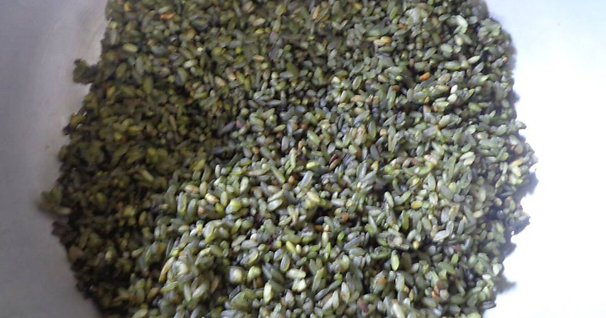 Camiling in Philippines maritime boundary | Tripomatic