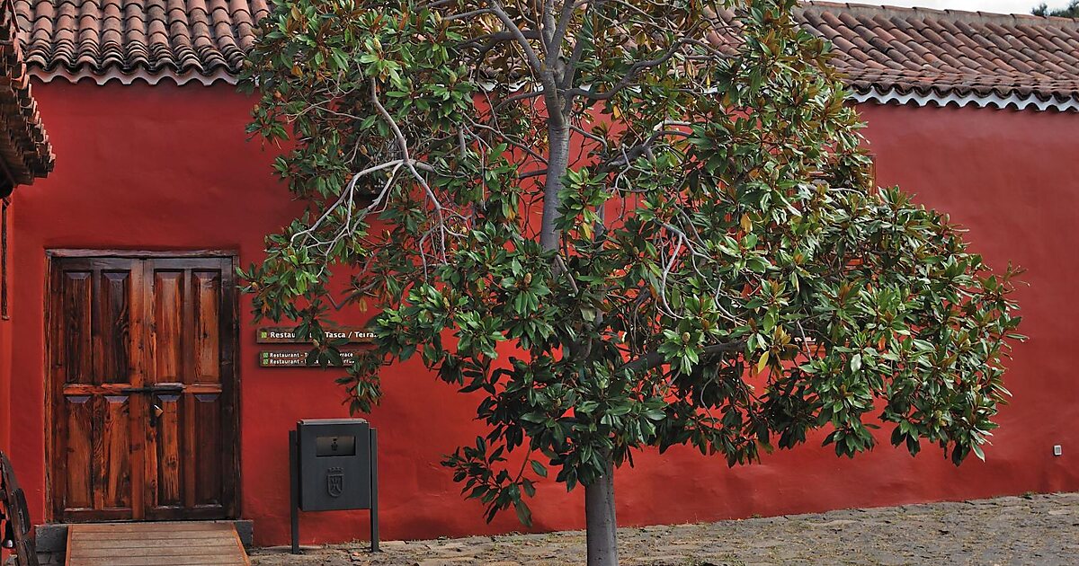 La Baranda Wine House in Tacoronte, Spain | Tripomatic