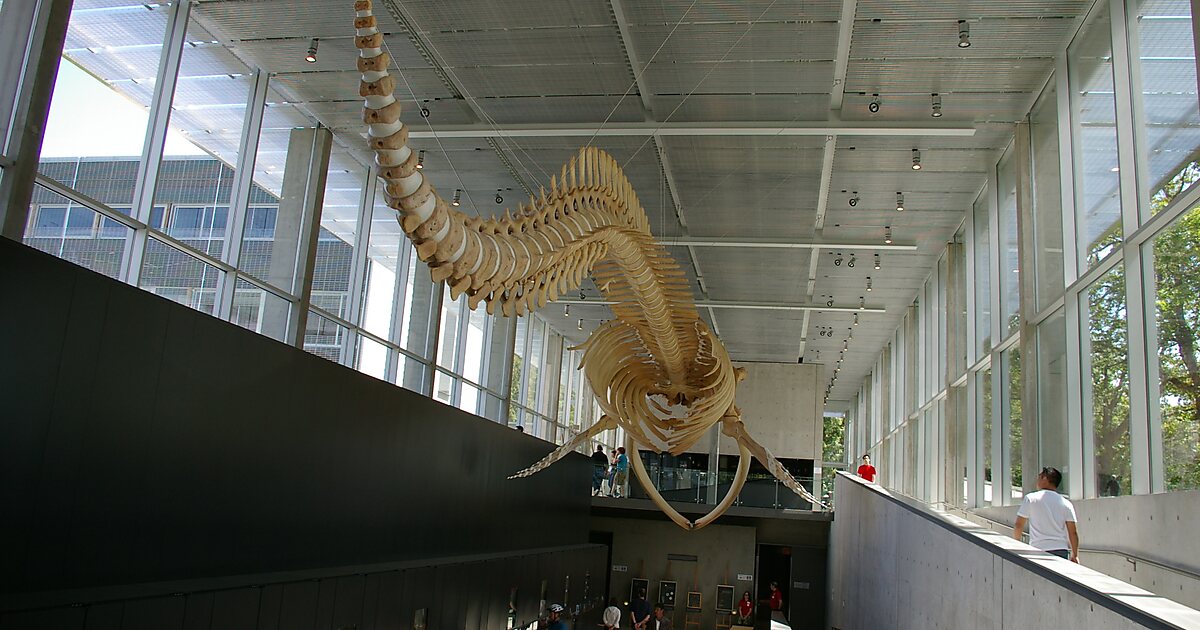 Beaty Biodiversity Museum in North America | Tripomatic