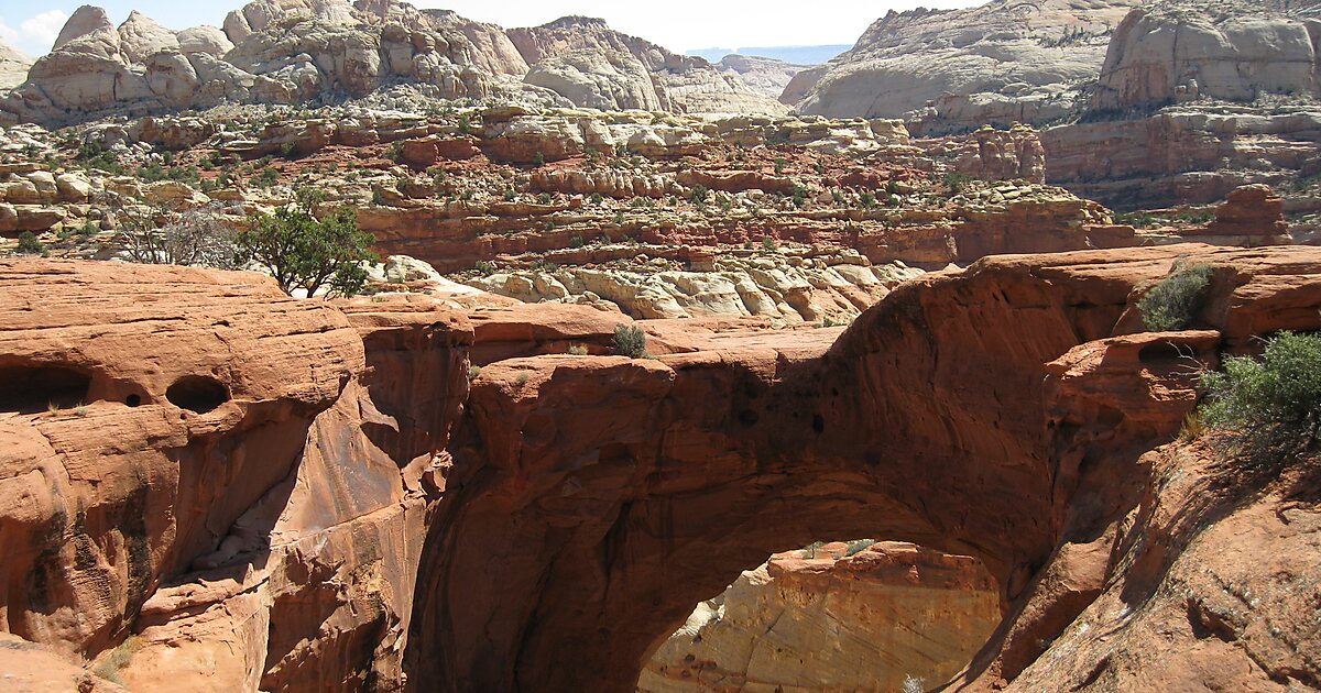 Capitol Reef National Park in Utah | Tripomatic