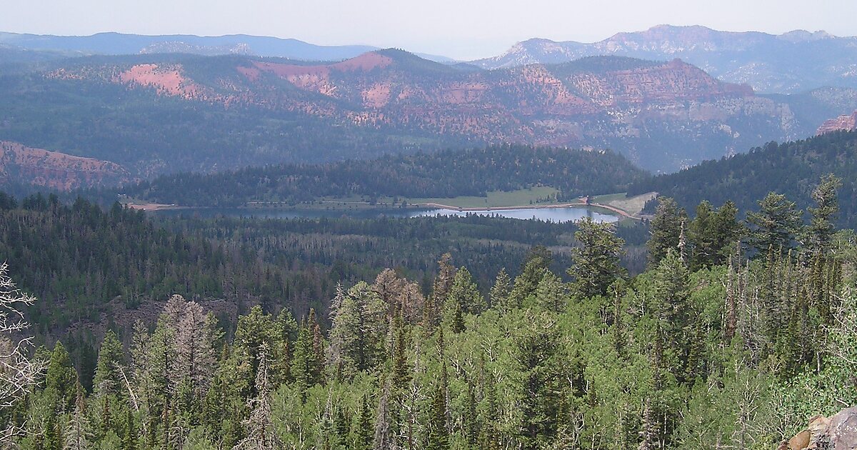 Dixie National Forest in Utah | Tripomatic
