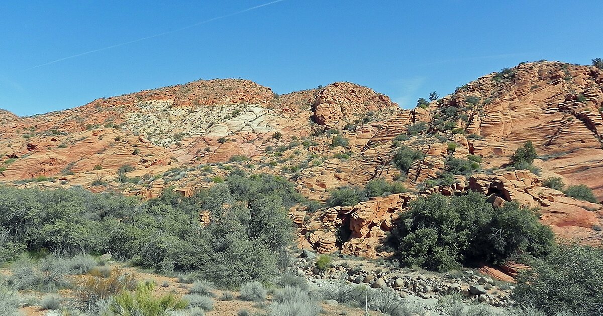Red Cliffs National Conservation Area in United States | Tripomatic