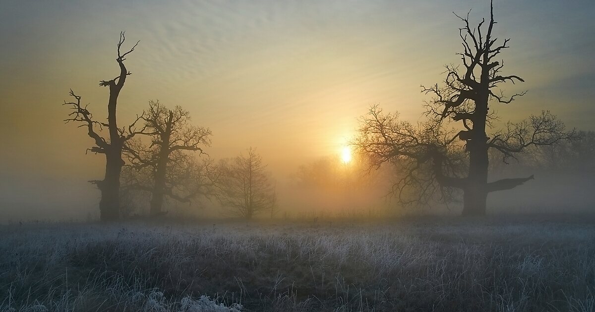 Rogalin Landscape Park in Poland | Tripomatic