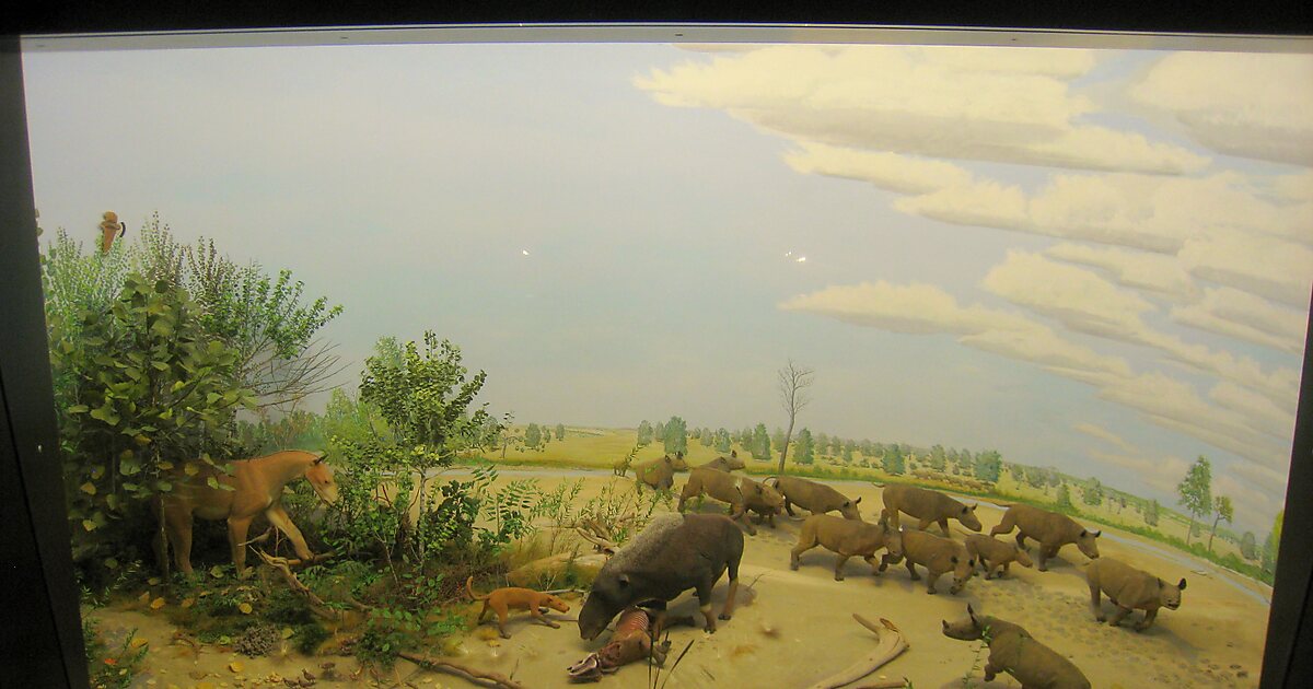 Ruthven Building in Ann Arbor, Michigan, United States | Tripomatic