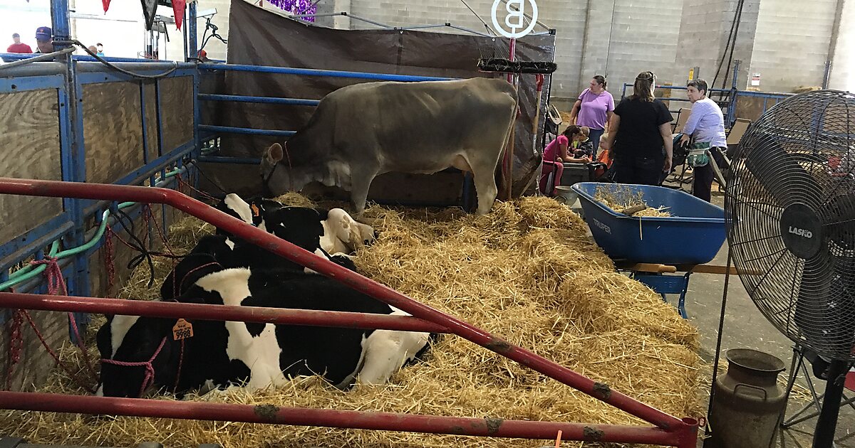 Oregon State Fair in Salem, Oregon | Tripomatic