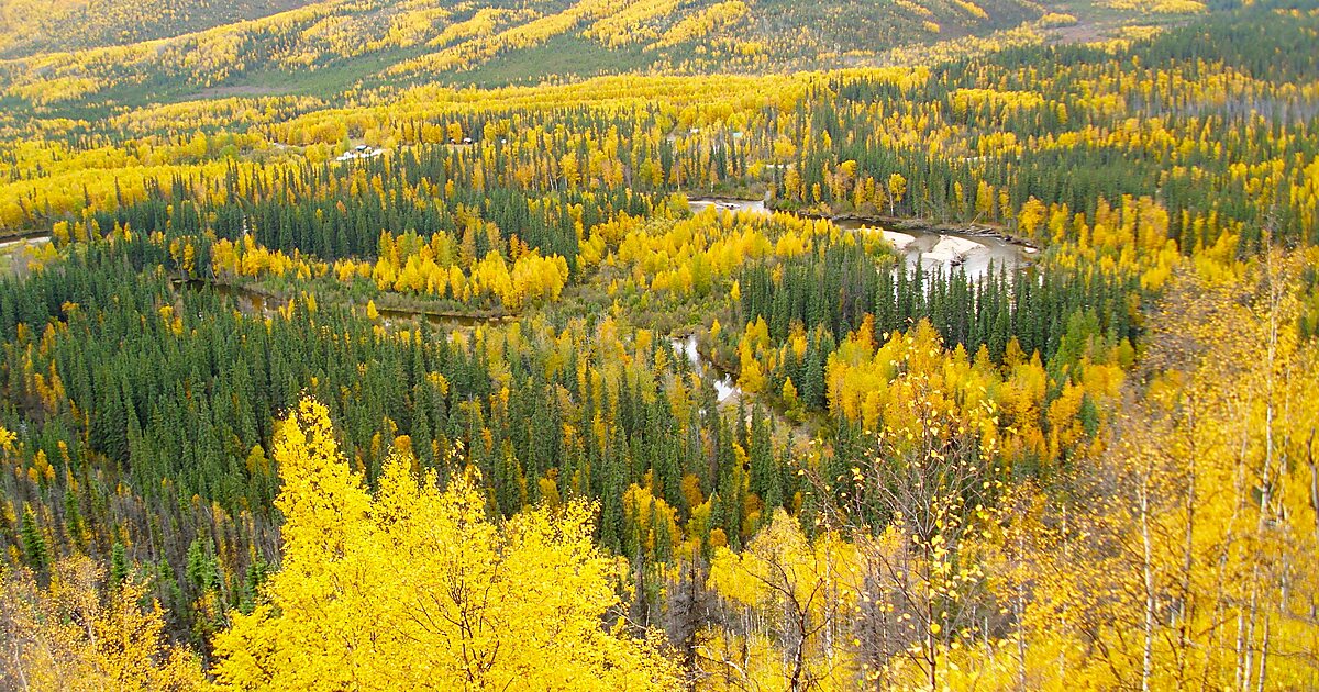 Chena River Recreation Area in Alaska | Tripomatic