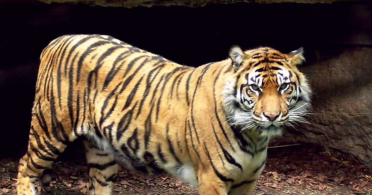 Toronto Zoo in Toronto